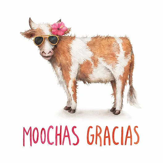 Moochas Gracias Card – Daisy Devotion